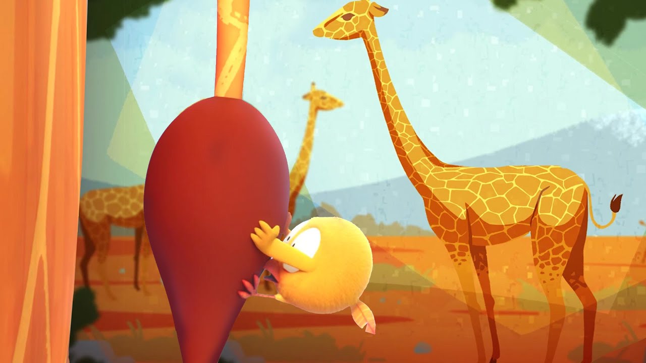 Chicky and the giraffes! | Where's Chicky? 1 Hour | Cartoon in English ...