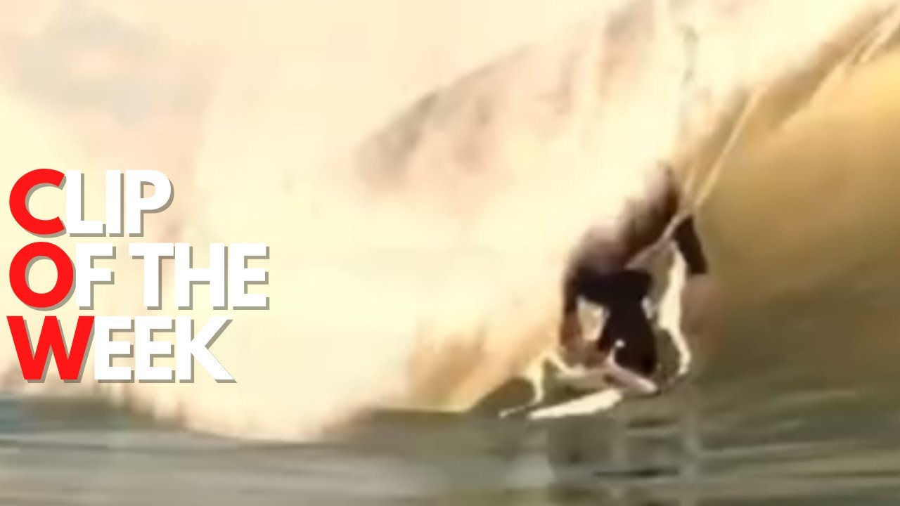 TRUE SURF COW - YouTube