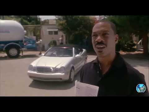 DADDY DAY CARE  - THE SEARCH