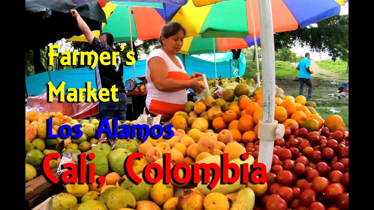 FARMER'S MARKET IN CALI, COLOMBIA: What I was able to buy for $10 ...