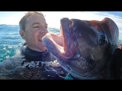 GRAN PARGO pescado a  34 METROS de José Miguel Lopez Corrales del equipo Pathos