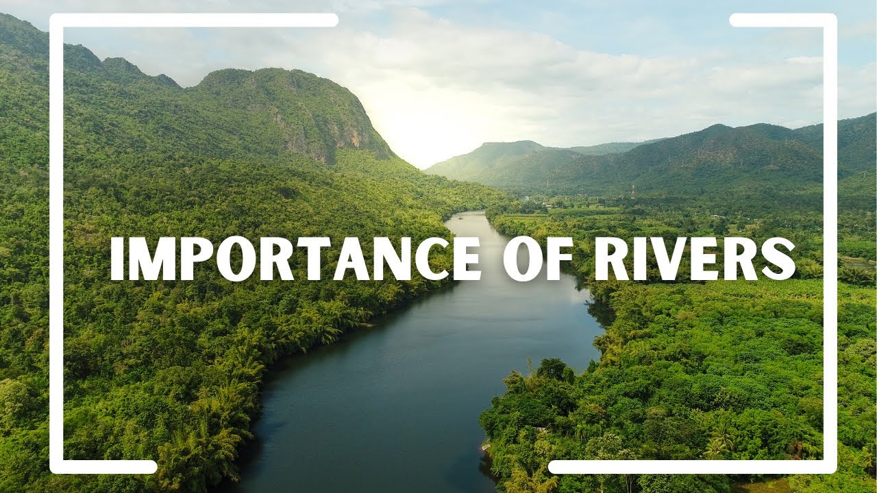 Save River | Why River Is Important |Documentary | The Nature - YouTube