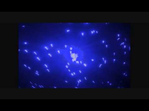 Ellipsis (John Dimitri) - Forever - YouTube