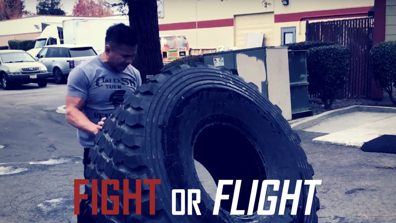 Fight Or Flight Training W/ Cung Le - YouTube