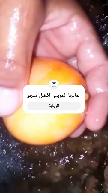 المانجو العويس افضل مانجو Youtube