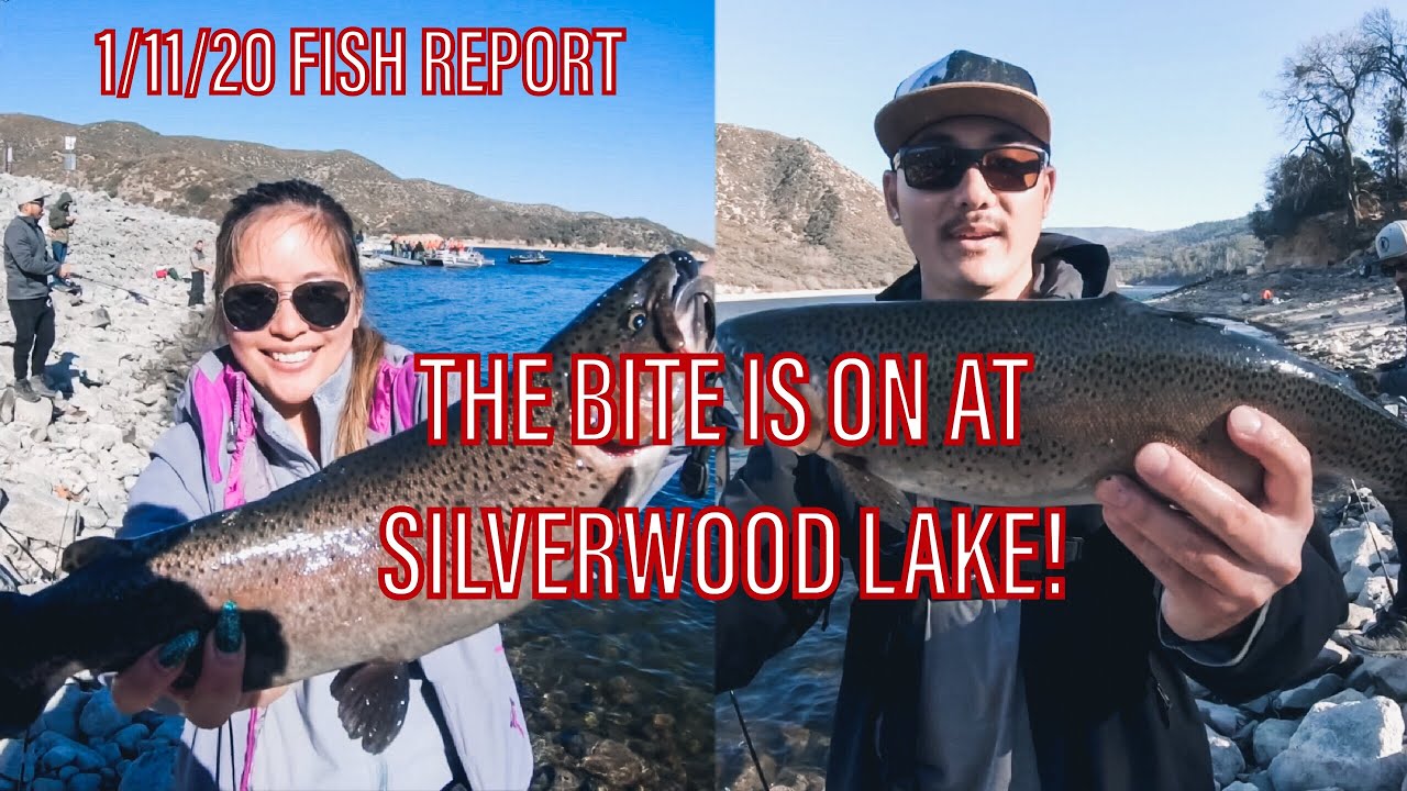 Silverwood Lake Fishing Report