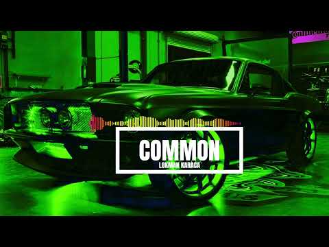 Lokman Karaca Common