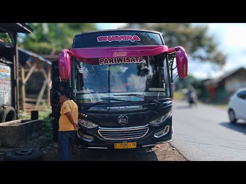 BUS TELOLET💃BUS GM TRANS_SHAVIRA GM TRANS_ALEASA GNF57_GREEN NOVA & DRW ...