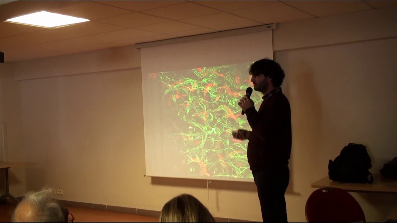 Les cellules, des briques du vivant qui se divisent et qui bougent par ...