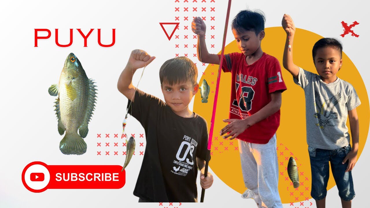 Pancing ikan puyu sungai guar - YouTube