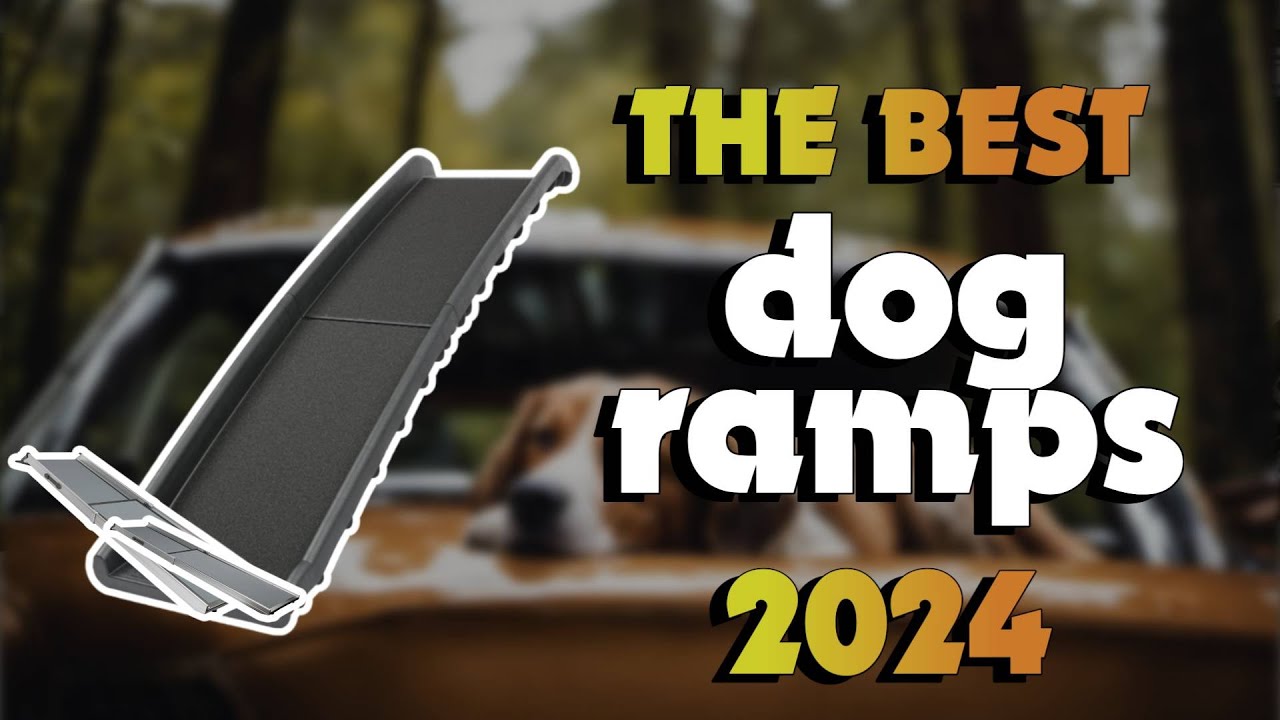 The Best Dog Ramps 2024 in 2024 - Must Watch Before Buying! - YouTube
