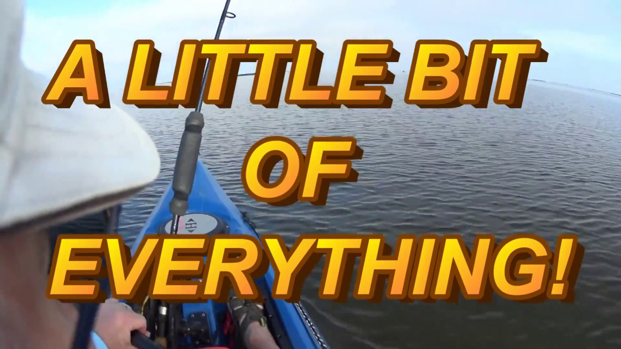 A LITTLE BIT OF EVERYTHING! - YouTube