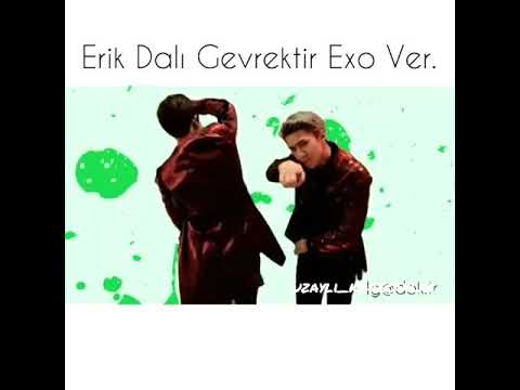 ERİK DALI EXO