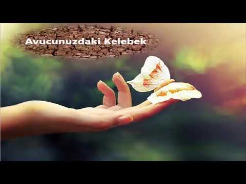 Avucunuzdaki Kelebek Hikayesi l Her şey Bizim Elimizde