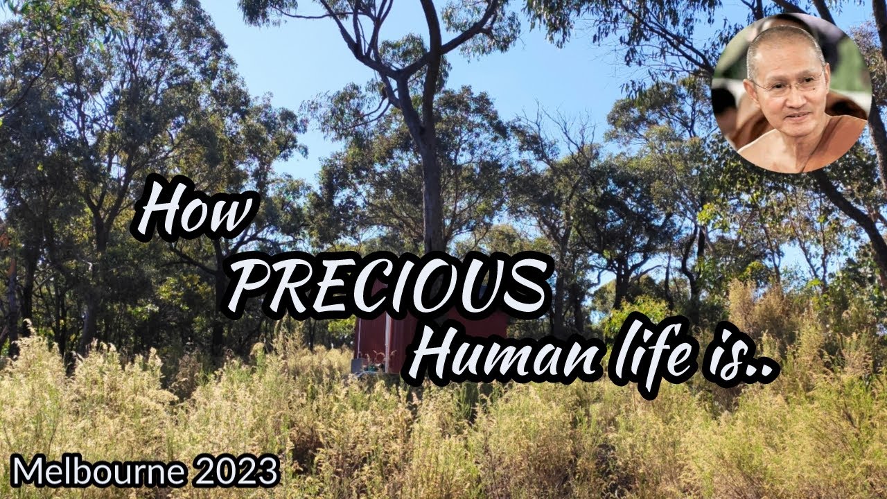 How to SEE how PRECIOUS HUMAN LIFE is.. - YouTube