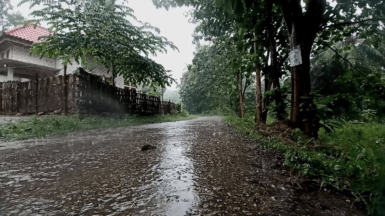 Super Heavy Rain in the Middle of Villages | Relaxing Rain Sounds For ...