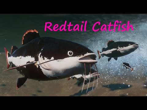 Redtail Catfish by Buffzoo, Leaf and Fishing Planet - Planet Zoo Mod ...