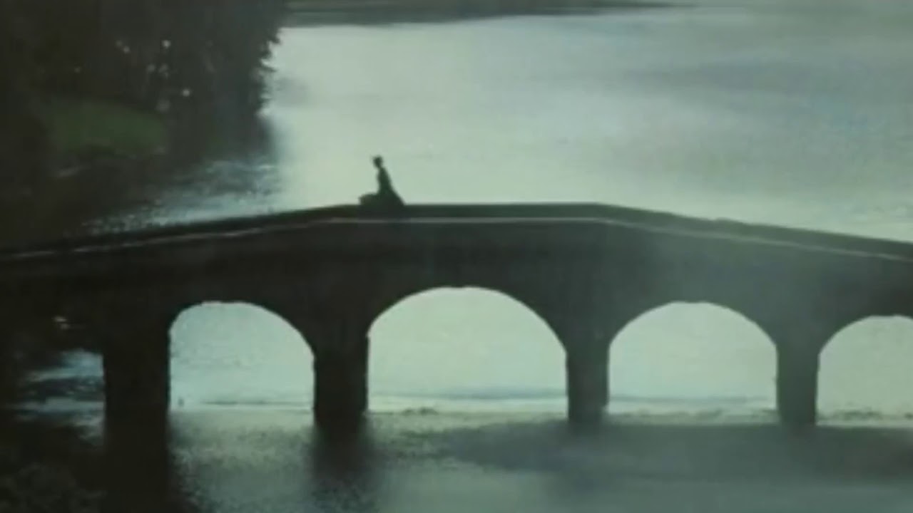 the rain scene from pride and prejudice except it’s wasteland baby ...