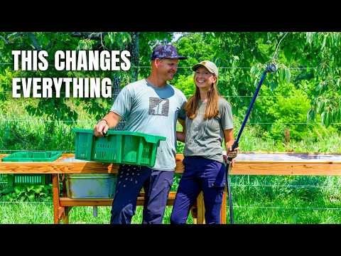 Preparing the Homestead for Harvest Season