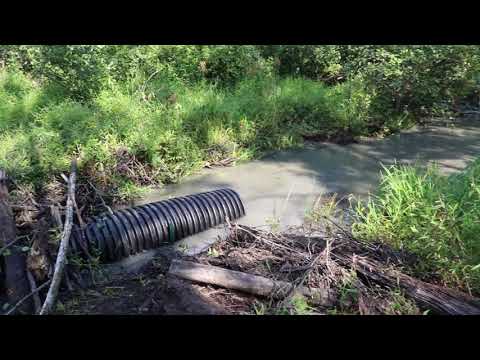 How a Beaver Deceiver Works