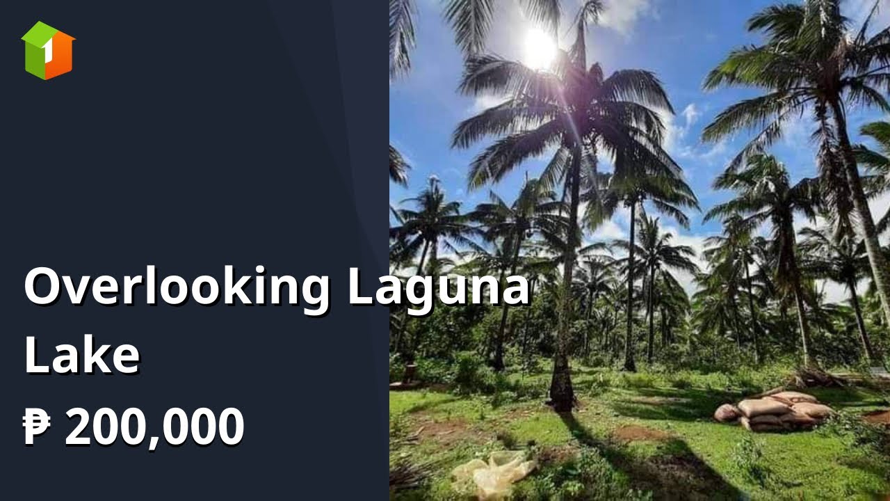Overlooking Laguna Lake - YouTube