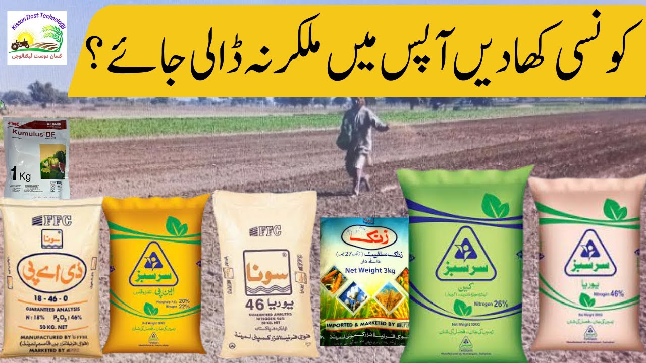 DAP, SOP, Zinc, CAN, NP, Urea, MOP, Magnesium and Sulphur fertilizers ...