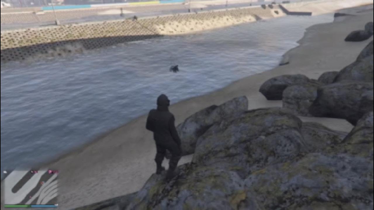 Funny, Cool, And Weird GTA V Moments (Part 43) - YouTube