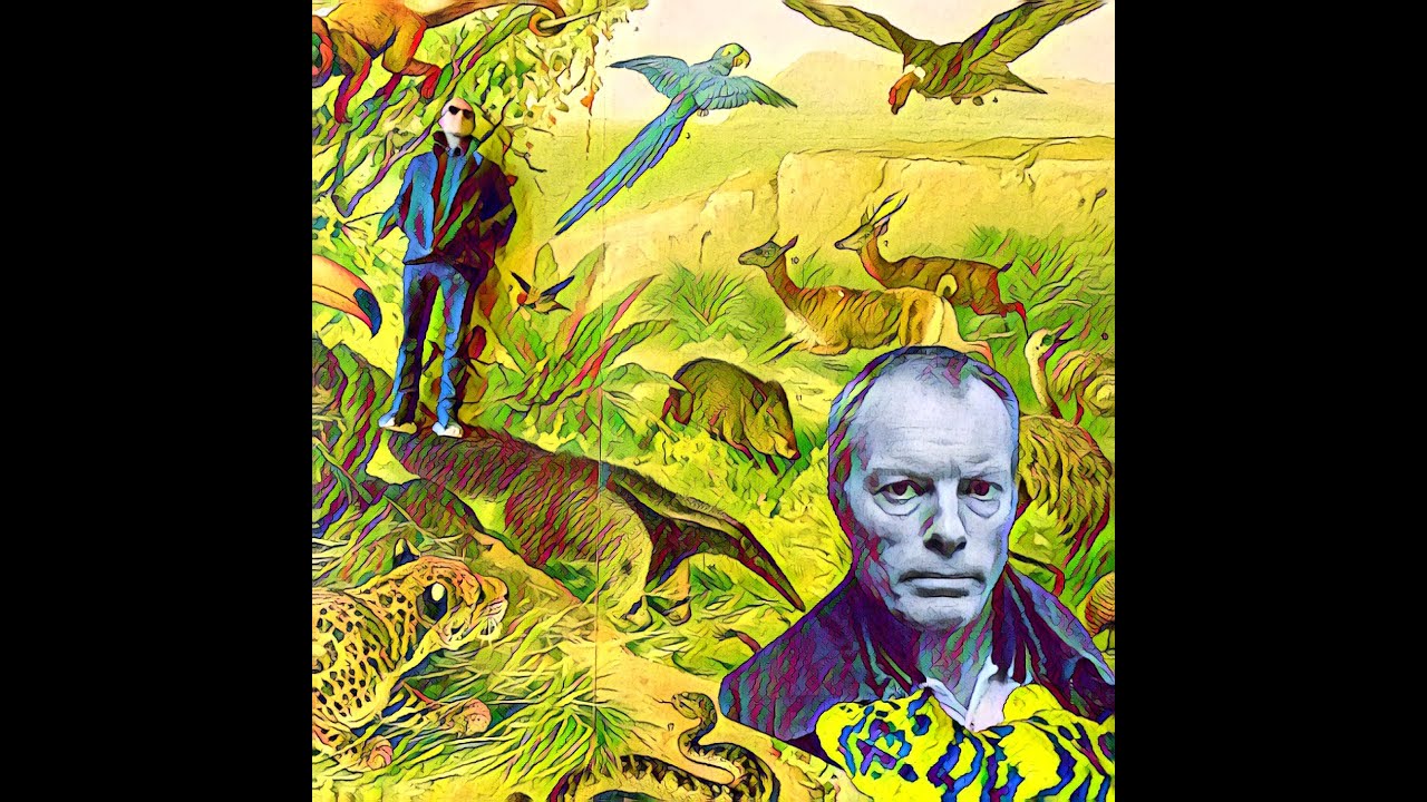 Magnus Norell - International Man of Mystery - YouTube