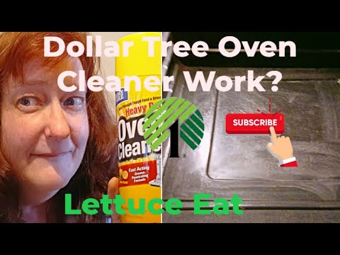 Does Dollar Tree Oven Cleaner Work? #dollartree #cleaning #kitchen # ...