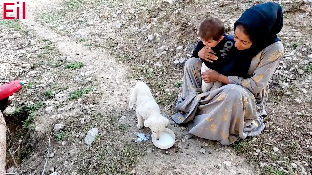 Delicious secrets of milk and rice for the girl of the sea and keeping ...