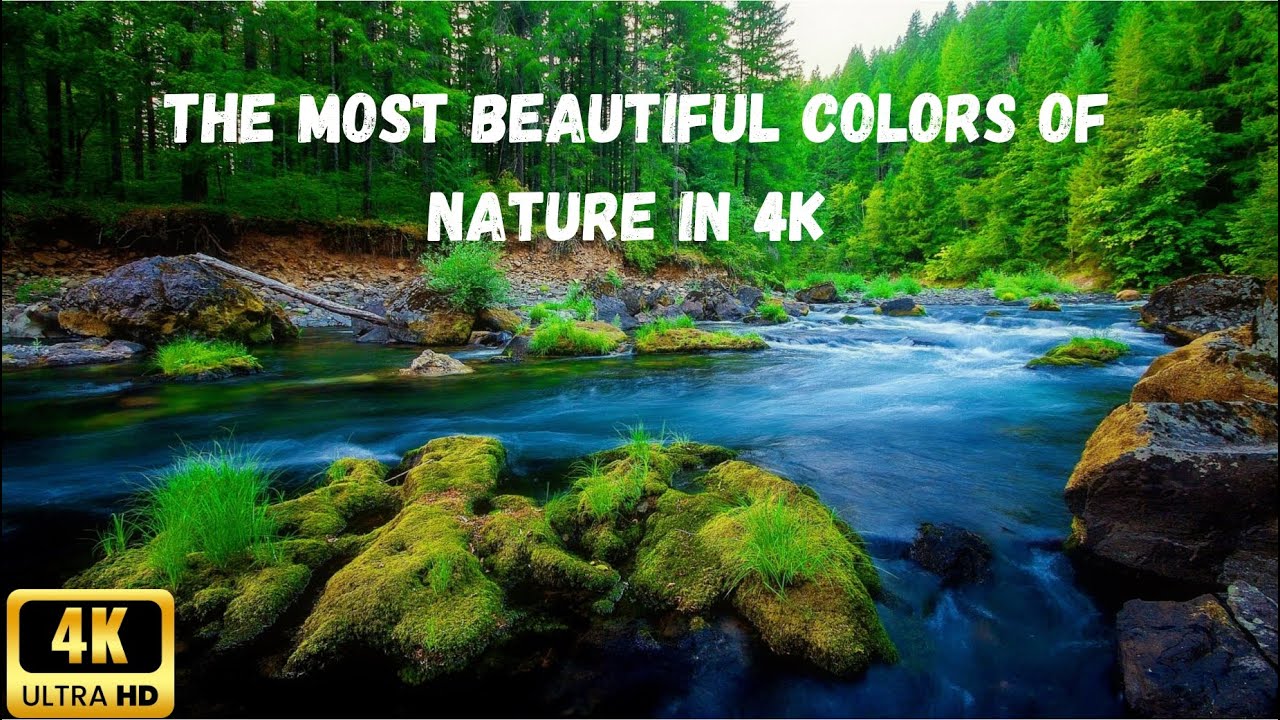 The most beautiful colors of nature in 4K Anti-stress music - 4K UHD TV ...