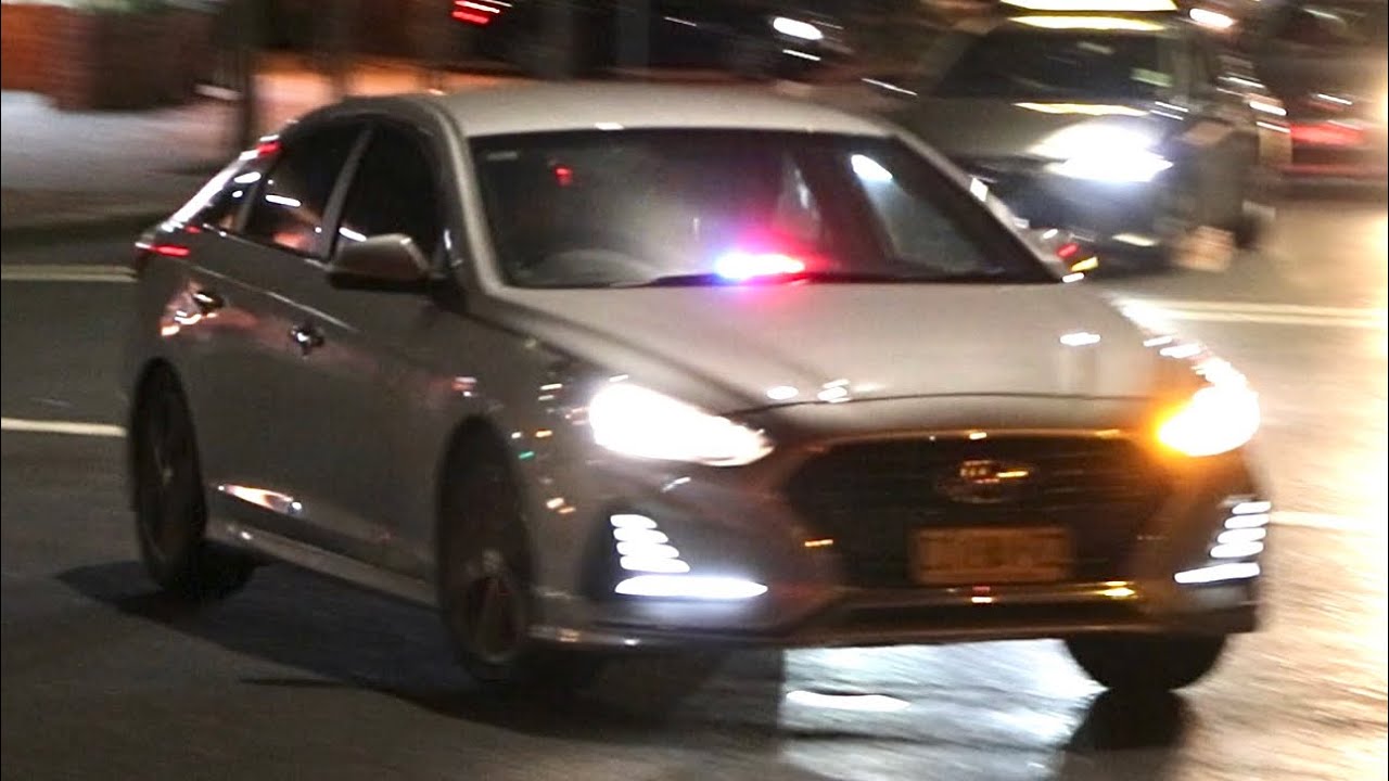 [NSW Police] - Sydney City Proactive Crime Team Code Red - YouTube