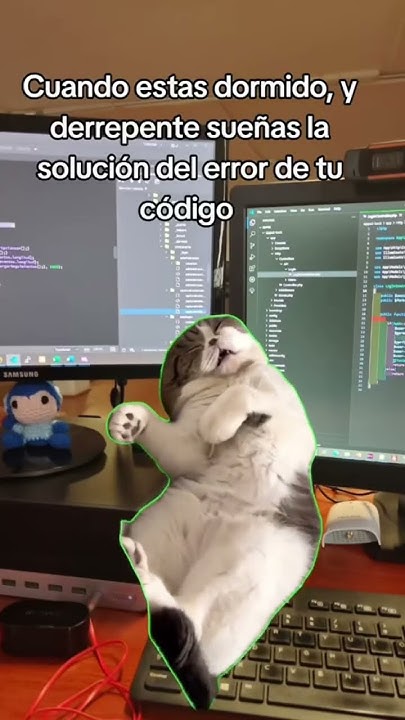 Softwaredeveloper Programacion Programminglanguage Software Javascript Java Javadeveloper 