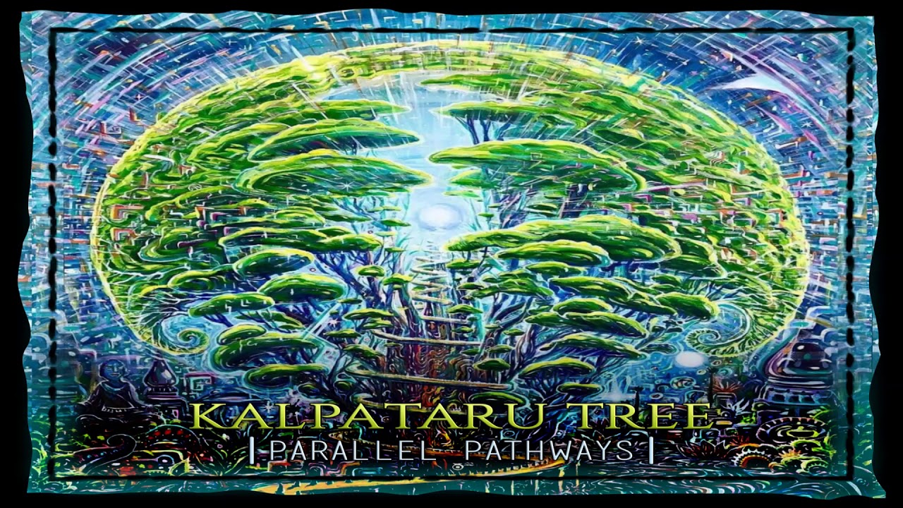 Kalpataru Tree - Parallel Pathways - YouTube