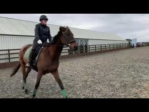 Niamh Martin and Crown Green October 2024 Intro 2 (2024) ROR - YouTube