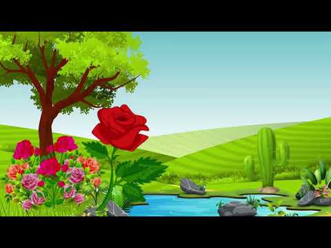 GÜZELİM GÜL - KISA MASALLAR (3)