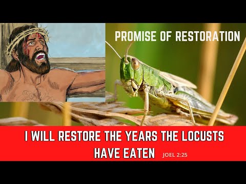 What The Locusts Have Eaten Will Be Restored