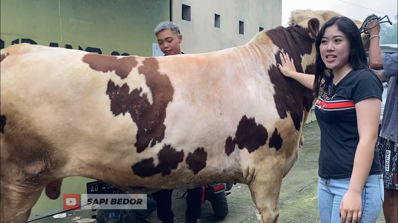 TERNYATA AMUNISINYA MBAK PUTRI BESAR JUGA YA ️🔥🔥🔥 - YouTube