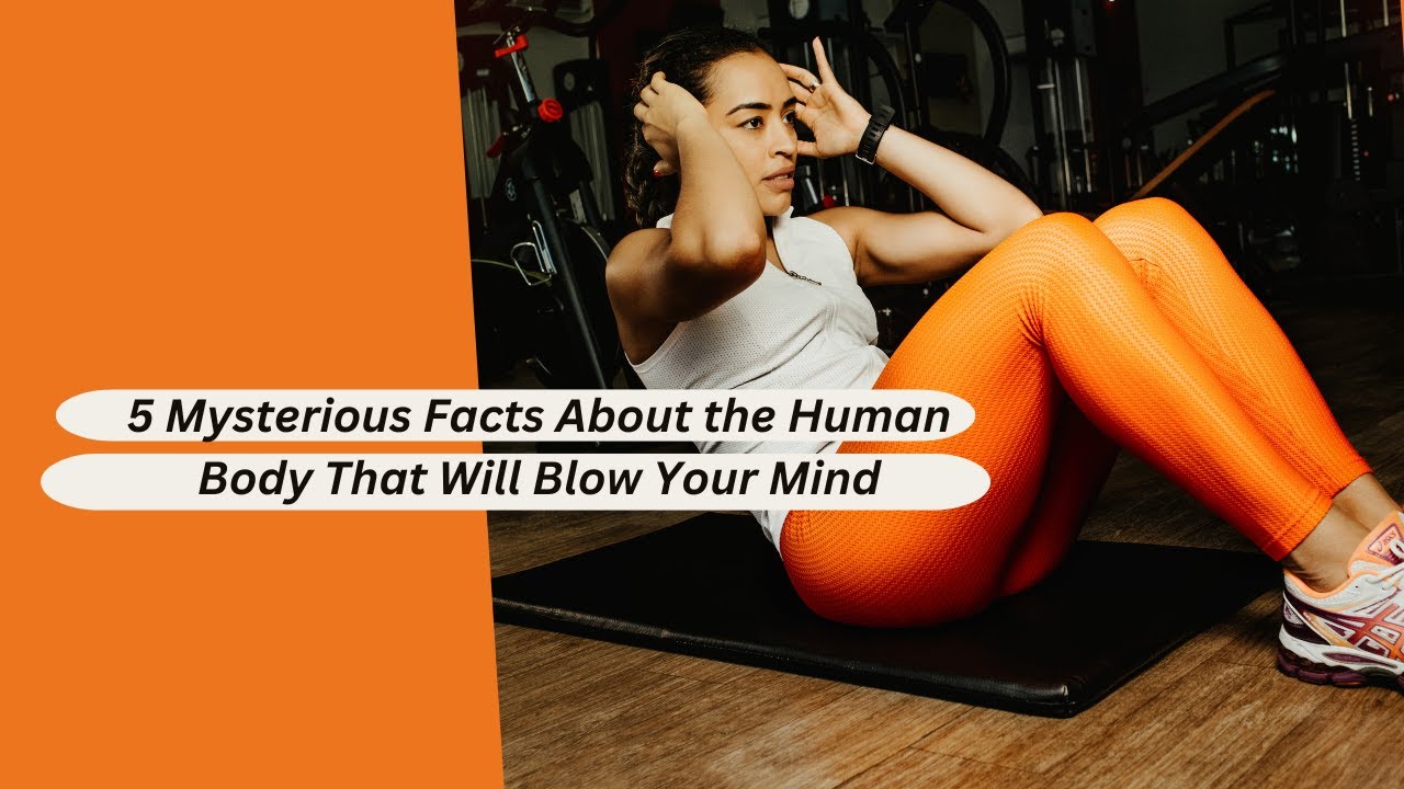 Unlocking the Secrets of the Human Body: 5 Astonishing Brain and Body ...