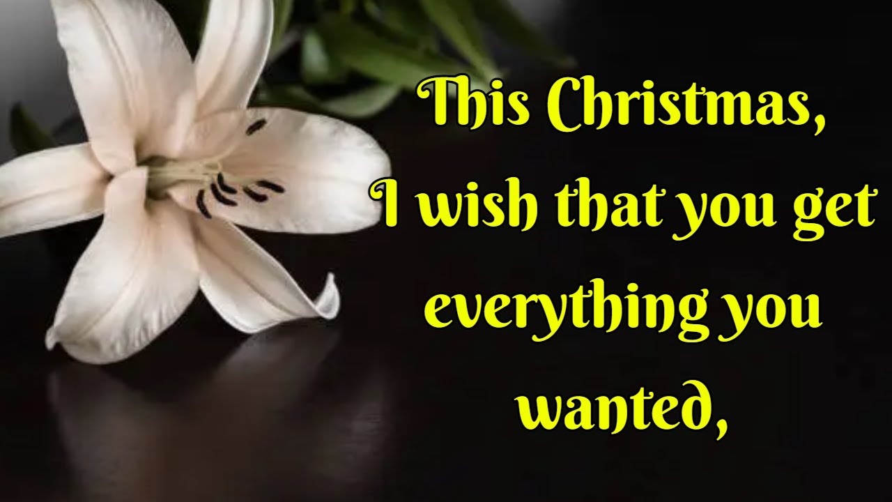 Christmas / Christmas Wishes / This Christmas, I wish that you...pernia ...
