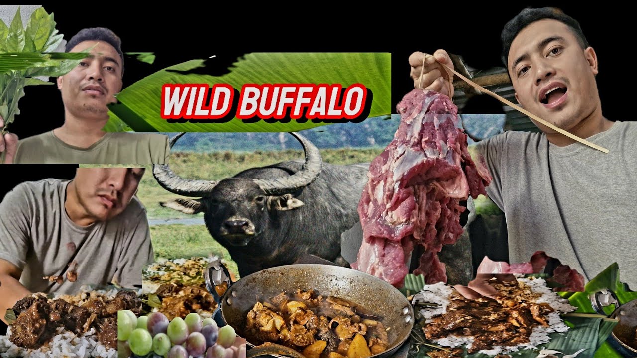BUFFEN MEAT 🐃 🐃 BAANG GOOR SHA THONGBA (WILD BUFFALLO MEAT )Punsi gi ...