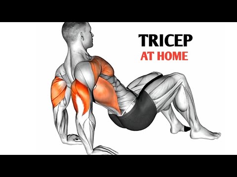 6 Bodyweight Tricep Workout | Home Workout For Triceps - YouTube