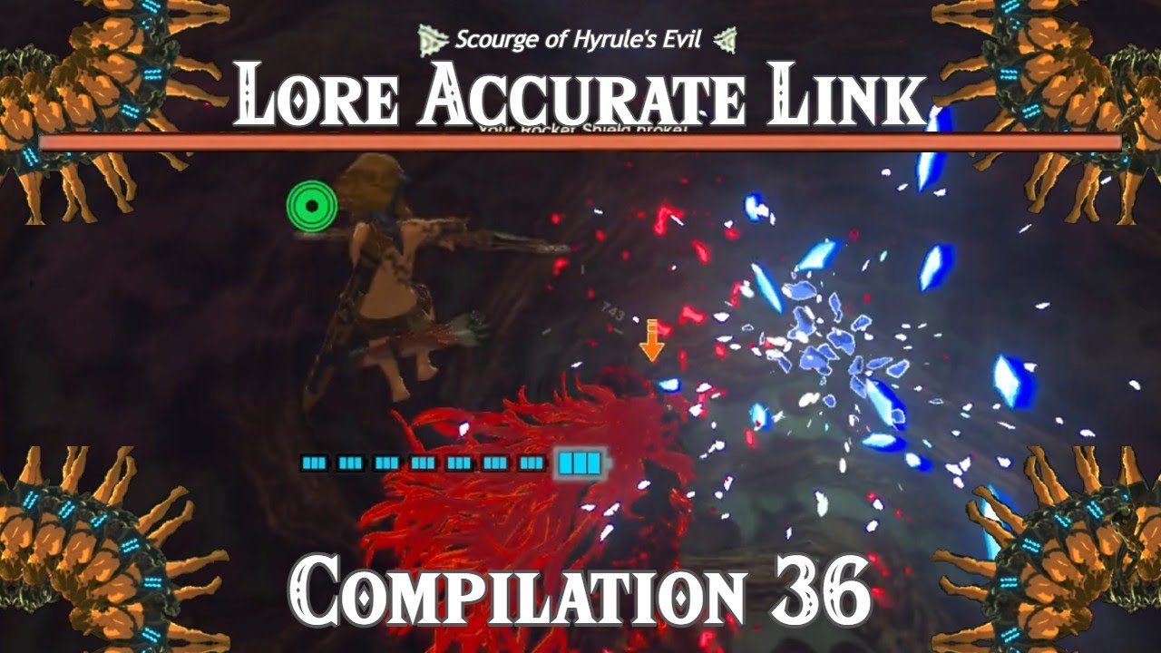 The Scourge of Hyrule's Evil: Lore Accurate Link Compilation 36 - YouTube