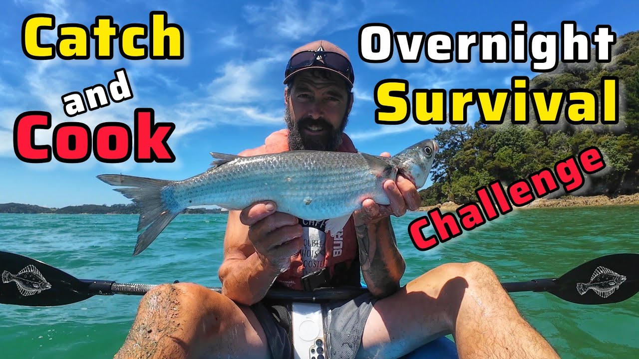 Catch and Cook Challenge [ Overnight Camping ] - YouTube
