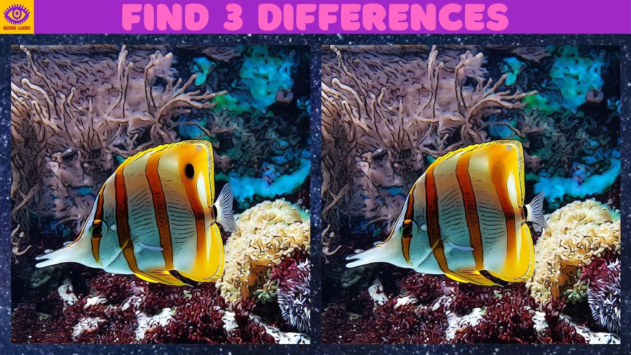 【Find the Difference】Brain Game Puzzle "in the WaterⅡ" 86 - YouTube