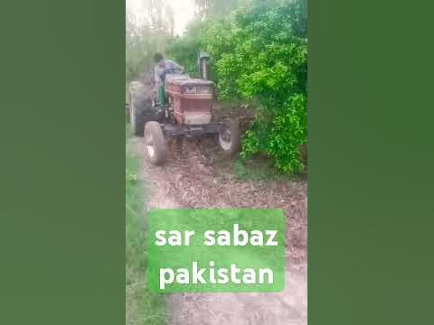 Sar sabaz pakistan Talib hussain dard - YouTube