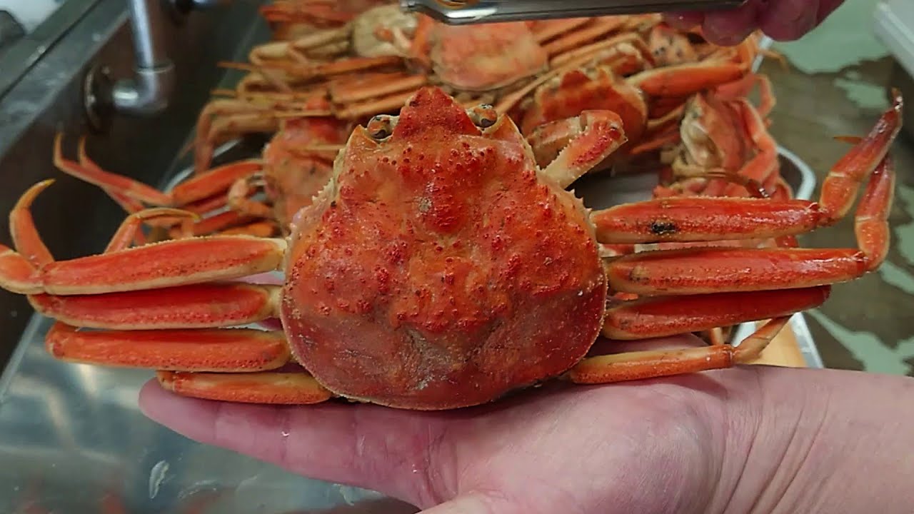 Amazing Crab Sashimi Skills Japan | How To Make Crabs Sashimi - YouTube