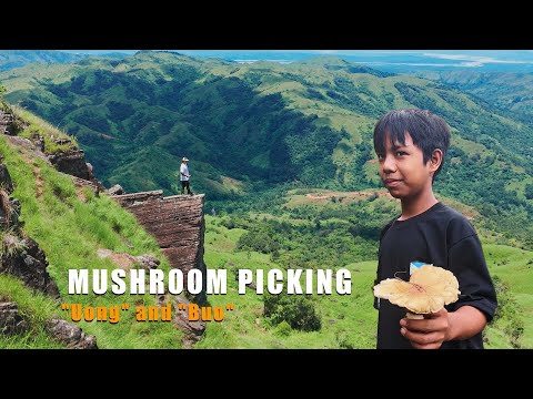 Mushroom Picking "Uong" and "Buo" in Abra | Hiking Mt. Baruyen - YouTube