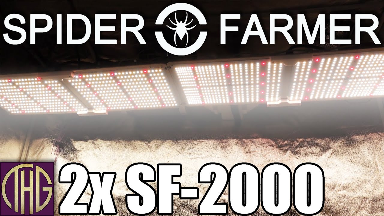 TWO Spider Farmer SF-2000 Grow Lights In Their 27"x55" Grow Tent :: PAR ...