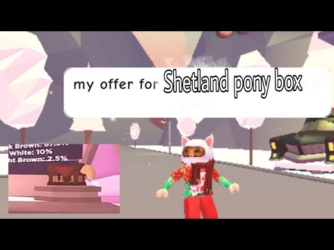 My Offer For Shetland Pony Box In adopt me - YouTube